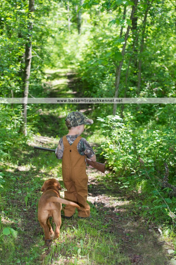 Oakie & Declan’s Day in the Woods – Balsam Branch Kennel