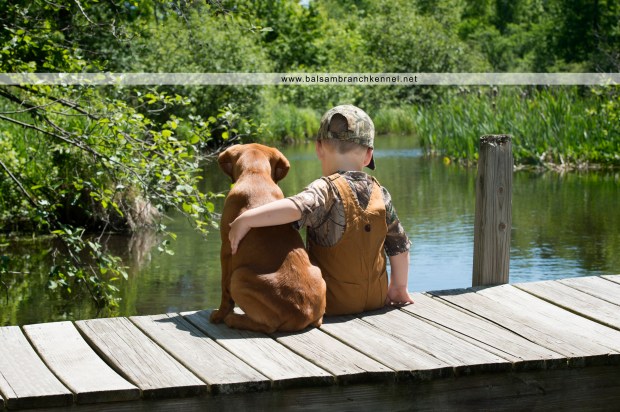 Oakie & Declan’s Day in the Woods – Balsam Branch Kennel